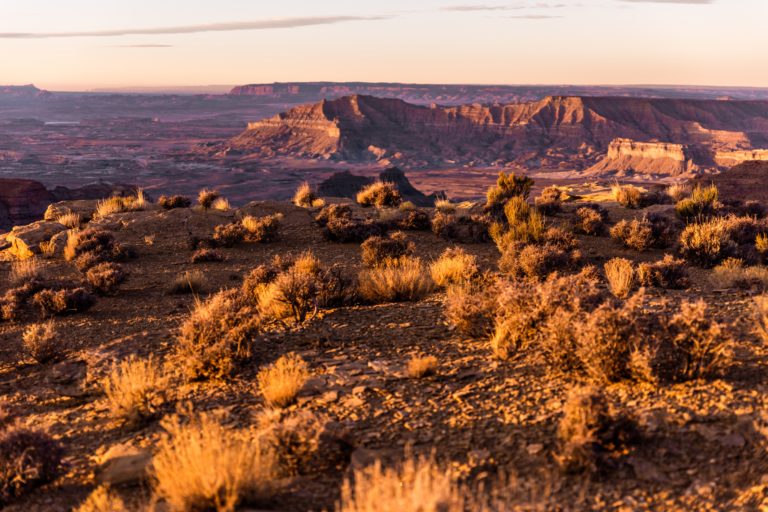 Four Reasons for Israel's Suffering in the Wilderness - BibleBridge ... Four Reasons for Israel's Suffering in the Wilderness - BibleBridge ...